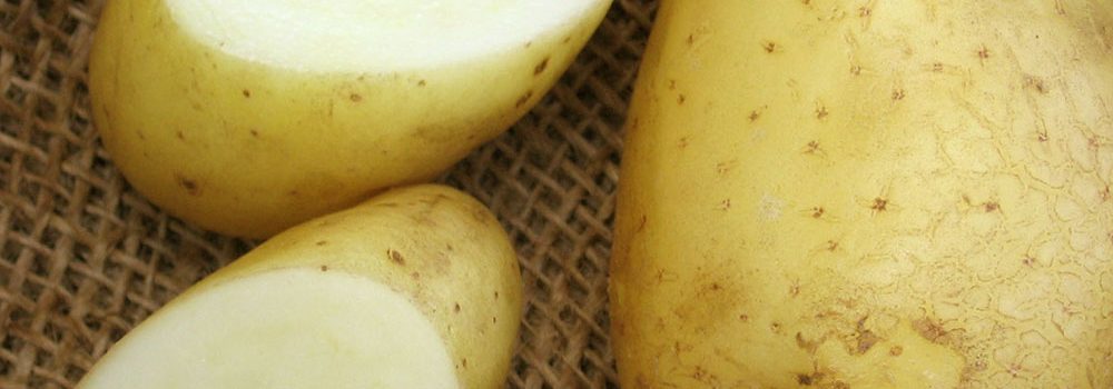 Linzer Delikatess – Furti's Hofladen