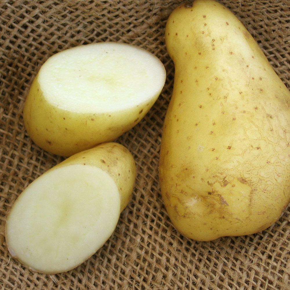 Linzer Delikatess – Furti's Hofladen